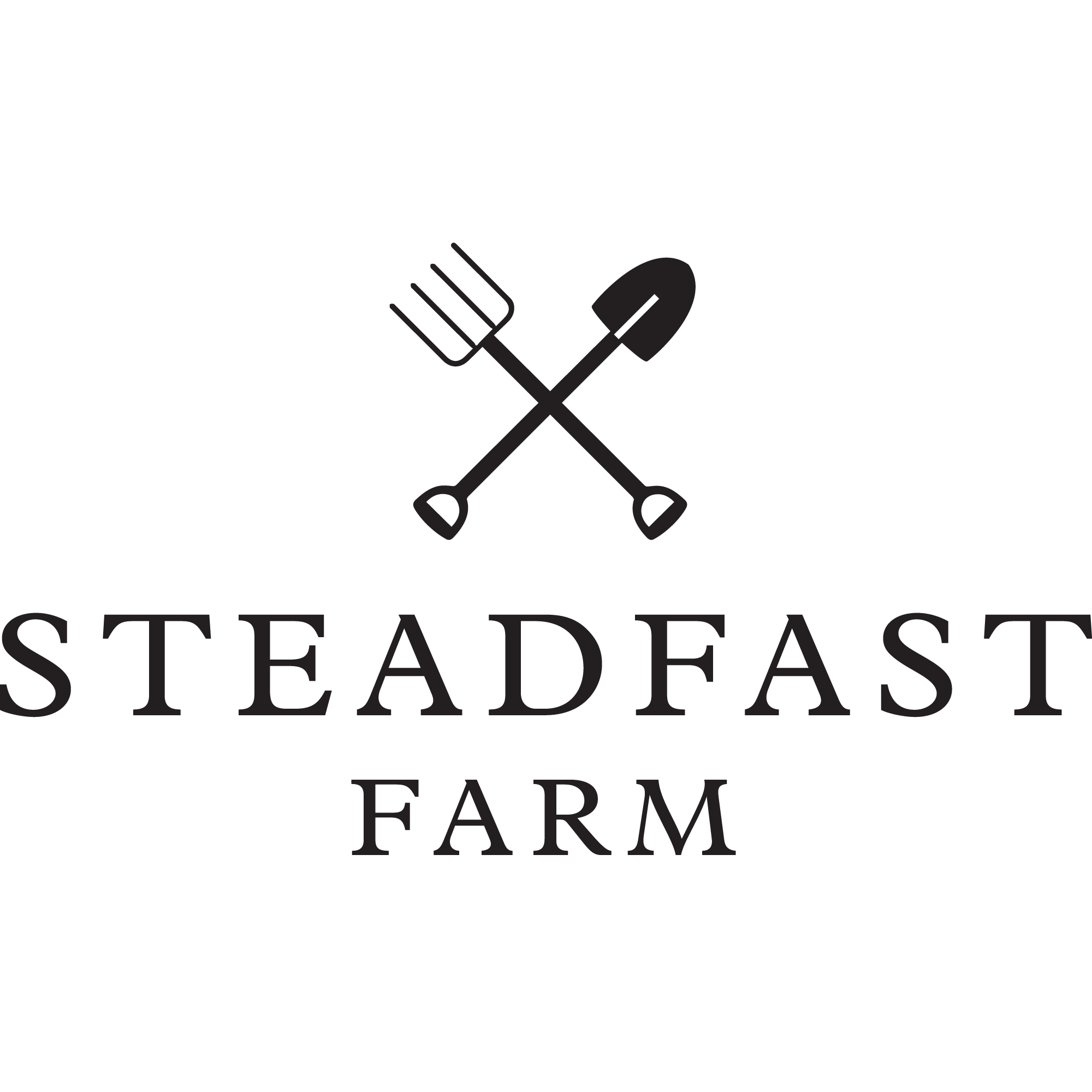 Gallery | Steadfast Diner